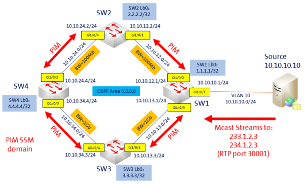 Multicast Lab 5 Source Specific Multicast Ssm • 3025